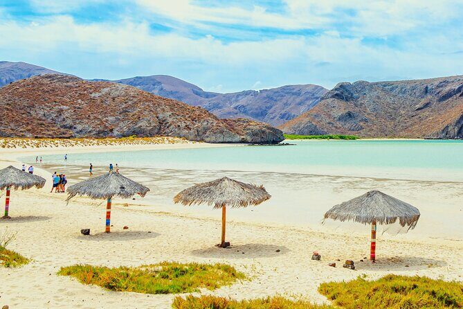 Explore La Paz: City Tour, Balandra Bay and Todos Santos - Why This Tour Works for Travelers