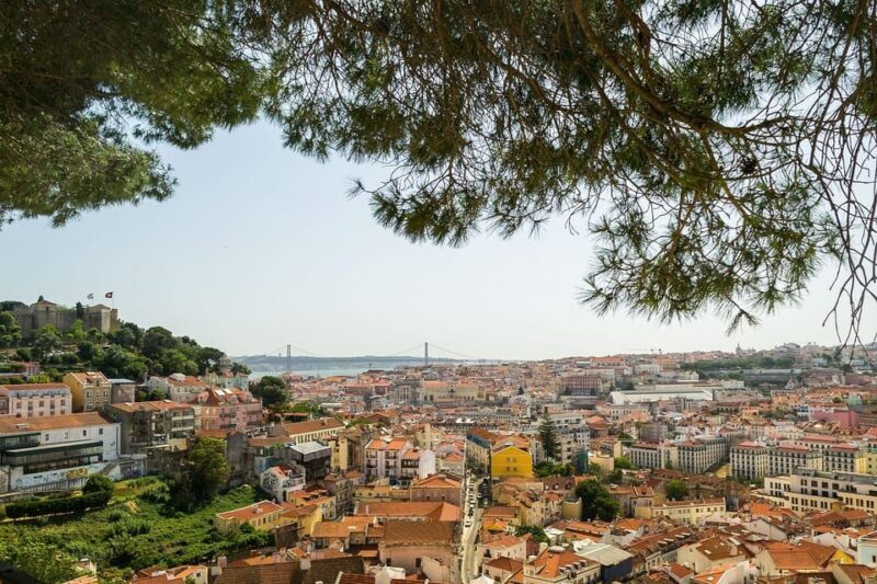 Explore Lisbon: Best of the City in a half day Tour - Who Will Love This Tour?