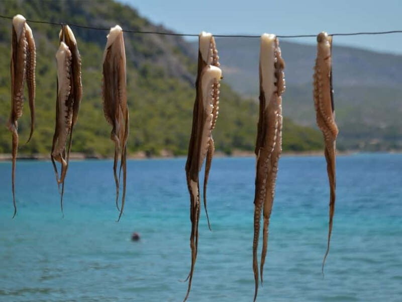 Explore Loutraki & Lake Vouliagmeni: Nature and Relaxation - Who Will Love This Tour?