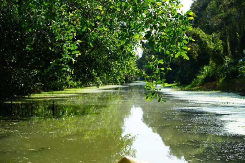 Explore Lung Ngoc Hoang in Hau Giang - An Honest Look at Lung Ngoc Hoang Tour