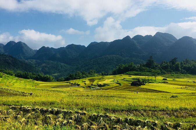Explore Mai Chau - Pu Luong - Ninh Binh 4 Days / 3 Nights - Final Reflection: Is It Worth It?