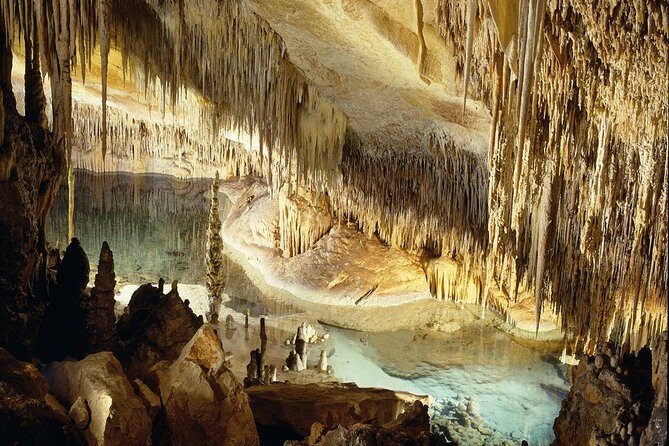 Explore Mallorca: Majorica Pearl Shop and Caves of Drach - Detailed Experience Breakdown