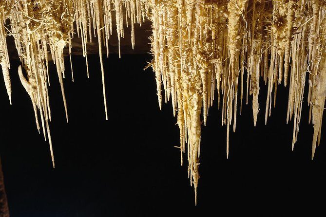 Explore Mallorca: Majorica Pearl Shop and Caves of Drach - Final thoughts