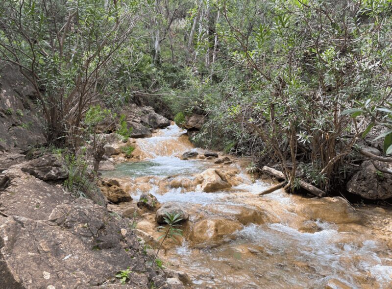 Explore Marbella's Nature: Guided Hiking And Foraging Trip - Practical Tips for Travelers