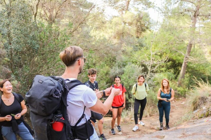 Explore Marbella's Nature: Guided Hiking And Foraging Trip - Authenticity and Natural Encounters