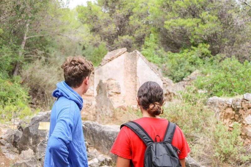 Explore Marbella's Nature: Guided Hiking And Foraging Trip - FAQs