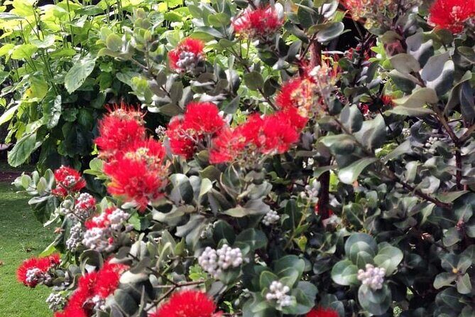 Explore Maui Private Tour - FAQs