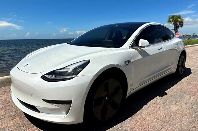 Explore Miami with a Private driver - A Deep Dive into the Miami Private Tour Experience