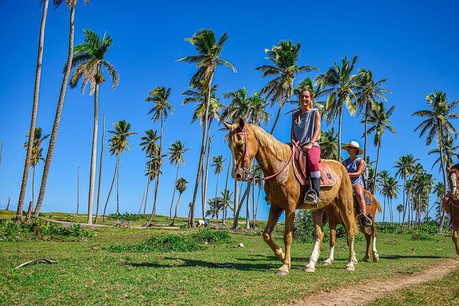 Explore Miches Horseback Riding 4x4 Beach Relaxation - Introduction
