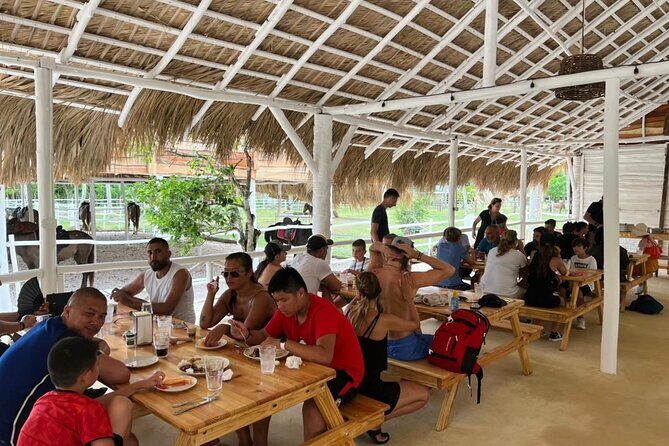 Explore Miches Horseback Riding 4x4 Beach Relaxation - FAQ