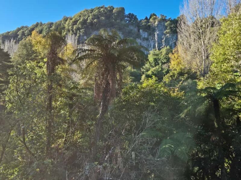 Explore Middle-Earth: Caves to Cinematic Landscapes - Explore Middle-Earth: Caves to Cinematic Landscapes — A Practical Review
