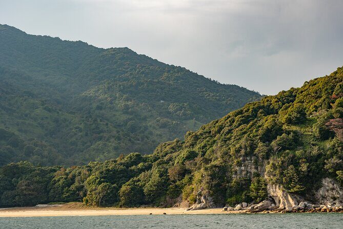 Explore Miyajima Sail from Miyahama Onsen - What Real Travelers Say