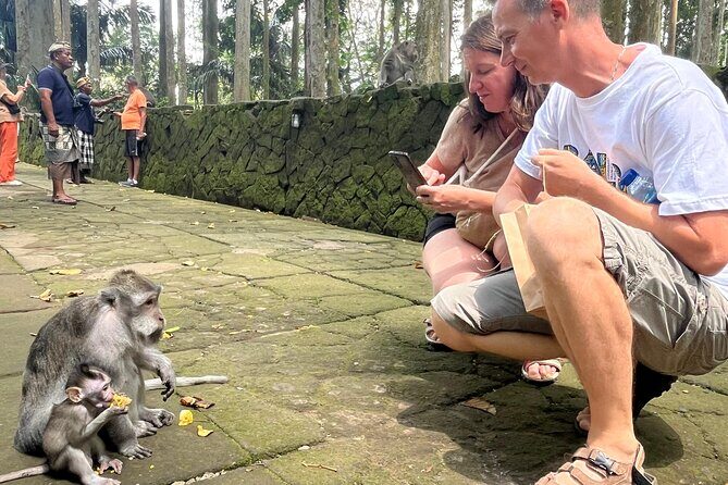 Explore Monkey Forest Ubud Rice Terrace Waterfall and more - The Sum Up