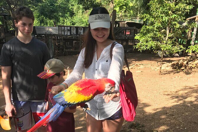 Explore Montego Bay to Exotic Birds and Herb Farm from MontegoBay - An In-Depth Look at the Montego Bay to Exotic Birds and Herb Farm Tour