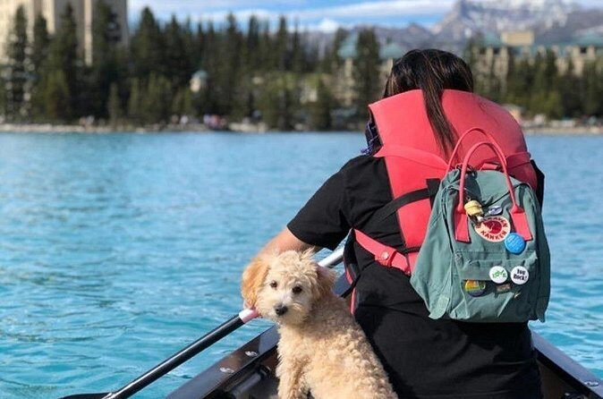 Explore Moraine Lake & Lake Louise  Round Trip Shuttle - Practical Considerations