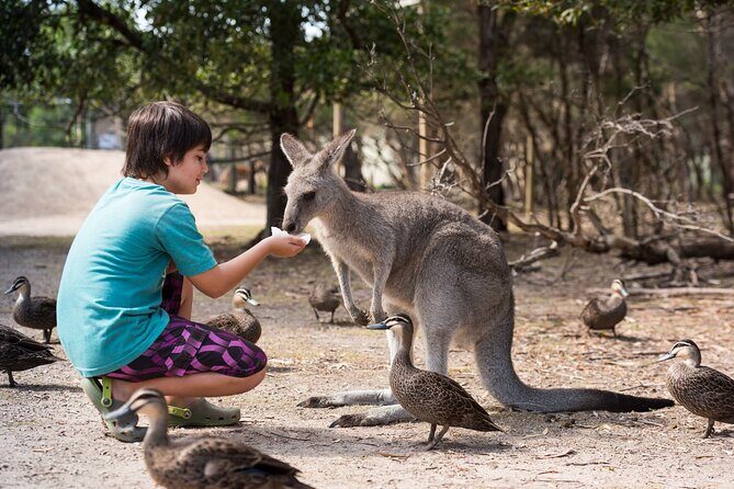 Explore Mornington Wildlife Wine and Hot Springs - FAQ