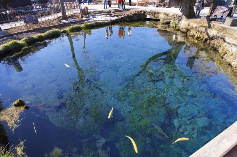 Explore Mount Fuji: Private Tour with English Guide - Key Points