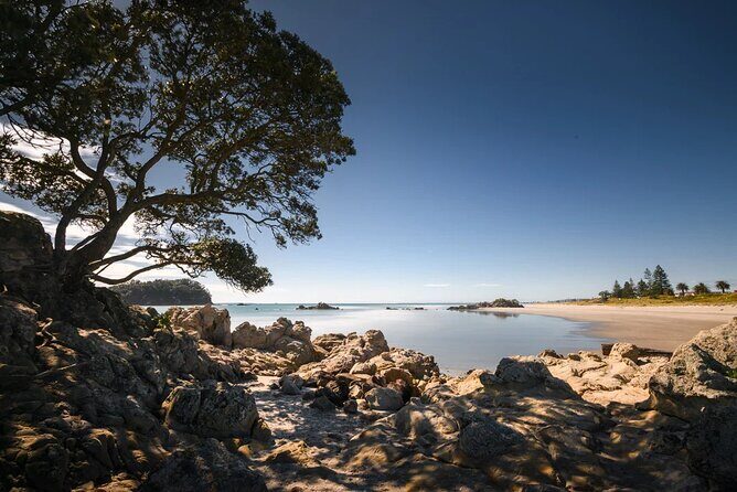 Explore Mount Maunganui: Self-Guided Audio Tour - Final Thoughts