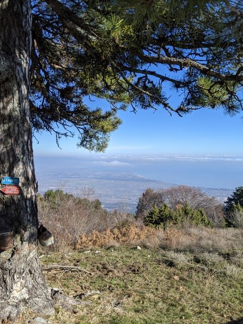 Explore Mount Olympus & Dion: History & Nature Day Trip - A Detailed Look at the Experience