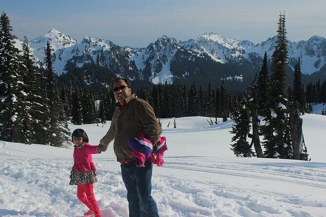 Explore Mt. Rainier National Park with a Local Guide - A Closer Look at the Tour Experience