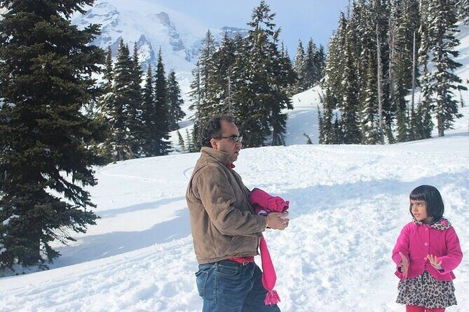Explore Mt. Rainier National Park with a Local Guide - The Sum Up
