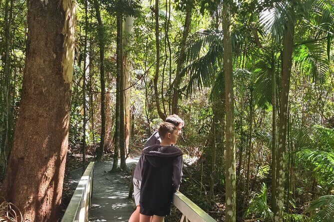 Explore Mt Tamborine from Brisbane - An In-depth Look at the Tour Experience