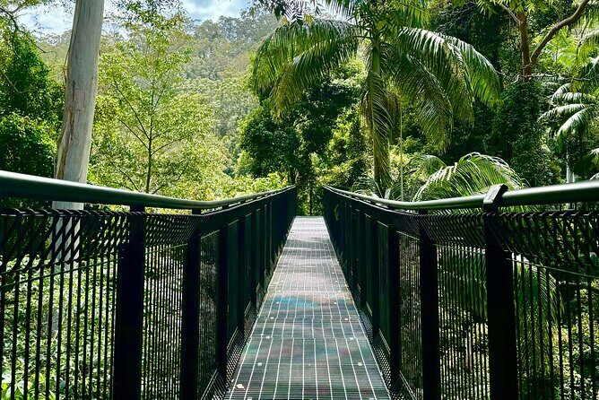 Explore Mt Tamborine from Brisbane - Frequently Asked Questions