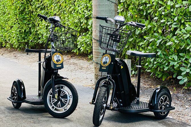 Explore Naples on a Guided Segway Tour - The Experience: What to Expect