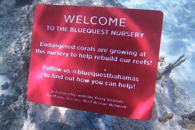 Explore Nassau's Best Spots with Snorkeling Tour - Why This Tour Offers Good Value