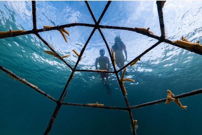 Explore Nassau's Best Spots with Snorkeling Tour - Practical Tips for Booking and Enjoying