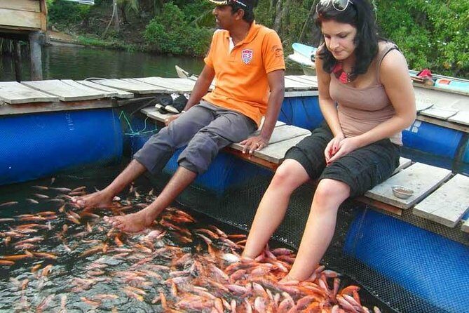 Explore Nature and Heritage in Galle from Colombo (All inclusive day tour) - Analyzing the Value