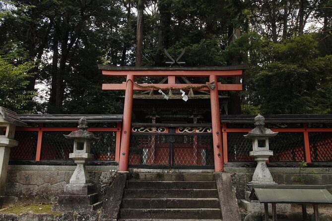 Explore Nature in Yoshino with e-Bike Tour - A Practical Look at the Yoshino e-Bike Tour
