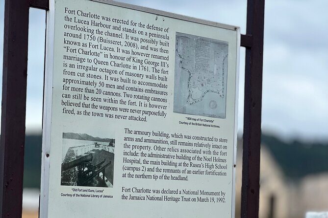 Explore Negril Day Tour beach and Ricks Cafe From Montego Bay - Who Should Consider This Tour?