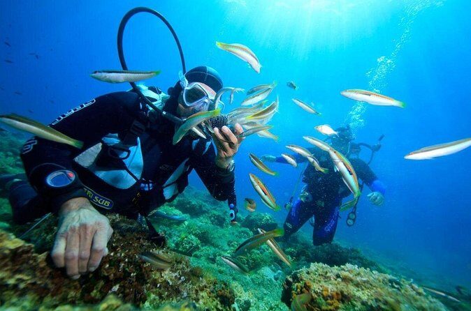 Explore Nha Trang Underwater: Coral Reef Scuba Diving - Final Thoughts