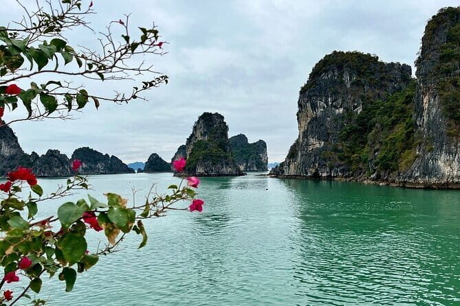 Explore Ninh Binh and Bai Tu Long Bay 2 Days 1 Night Tour - Discovering Vietnams Serenity and Splendor