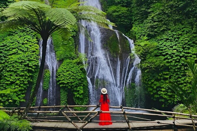 Explore North Bali (Temple, Waterfall, Rice Terrace) - What to Expect From Your Day