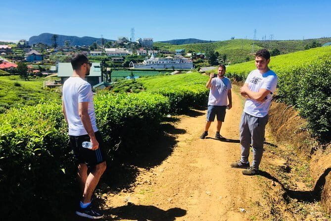 Explore Nuwara Eliya - Waterfall & Tea Factory Tour - Key Points