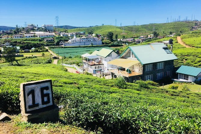 Explore Nuwara Eliya - Waterfall & Tea Factory Tour - A Closer Look at the Itinerary