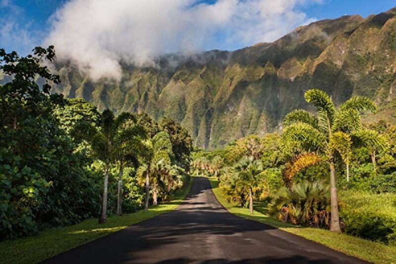 Explore Oahu in a Polaris Slingshot - Price & Value Analysis