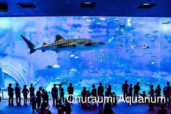 Explore Okinawa with Private Alphard Car Hire - An In-Depth Look at the Okinawa Private Alphard Experience