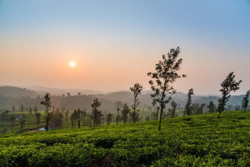 Explore Old Madikeri (Coorg): Guided Walking Tour by Foot - Who Will Enjoy This Tour?