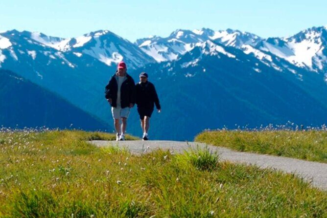 Explore Olympic National Park from Seattle through Van /Ferry - Practical Details and What to Expect