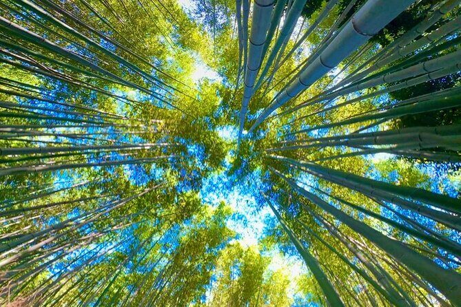 Explore Osaka and Kyoto with Private Transportation - FAQ