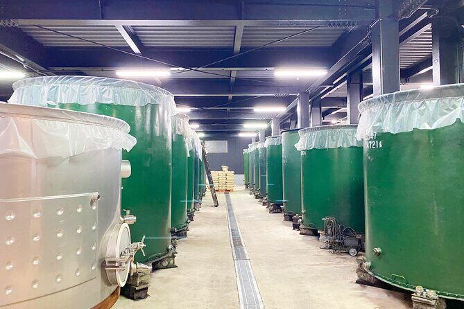 Explore Osaka with Wine Class and Tasting Experience - Final Thoughts