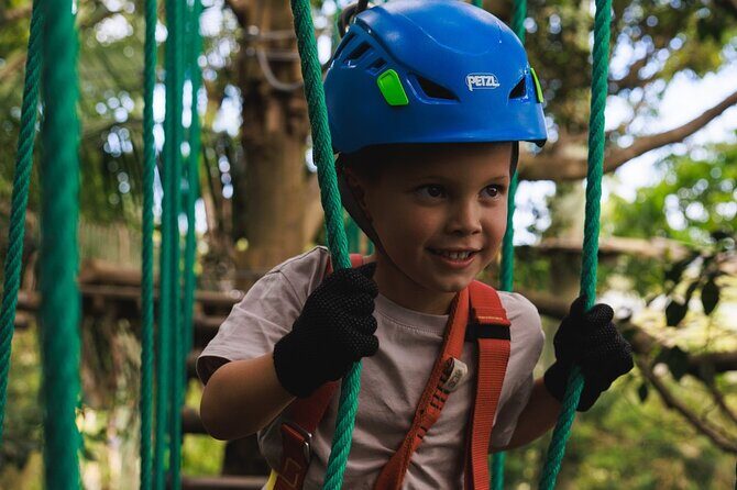 Explore Ourimbah State Forest Junior Tree Ropes Course - Key Points