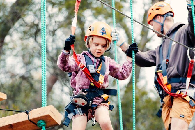 Explore Ourimbah State Forest Junior Tree Ropes Course - Who Should Consider This Experience?
