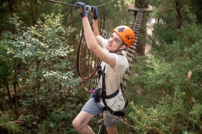Explore Ourimbah State Forest Tree Ropes Course - An In-Depth Look at the Experience