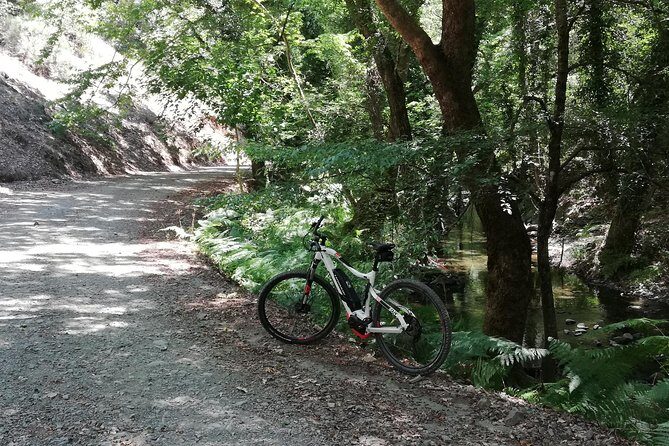 Explore Paphos forest with e-mountain bikes - Summary: Who Will Love This Tour?