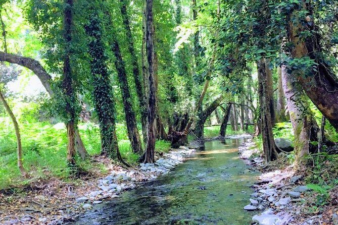 Explore Paphos forest with e-mountain bikes - FAQ