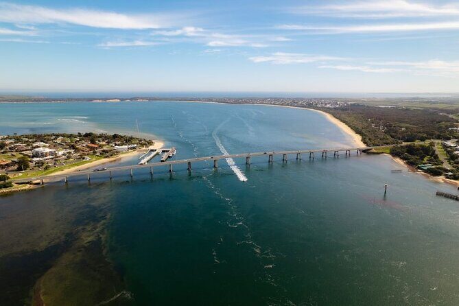 Explore Phillip Island from Melbourne with Penguin Parade - Key Points